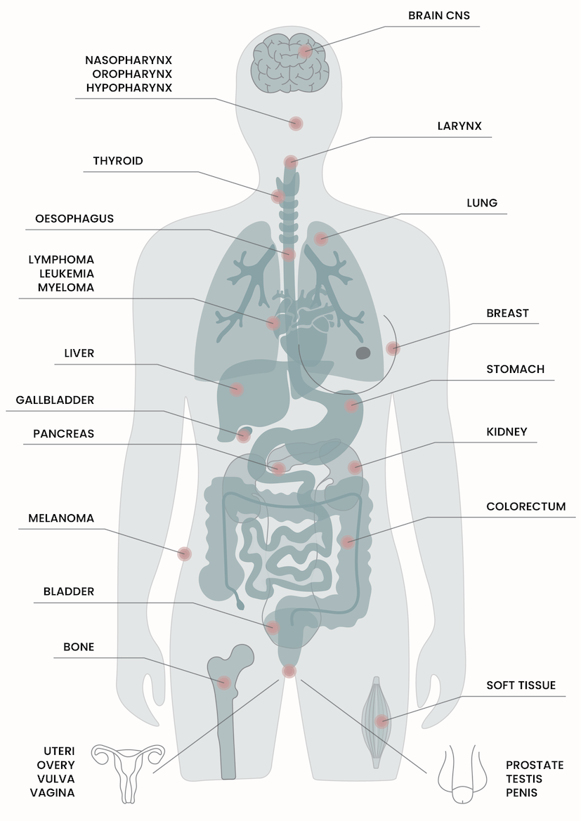 Types of Cancer – Within Oncology
