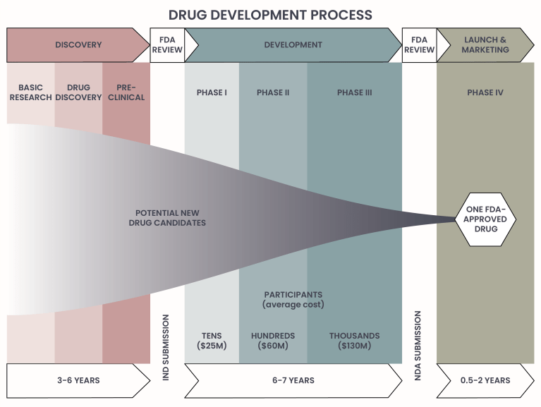 Drug Development Process – Within Oncology