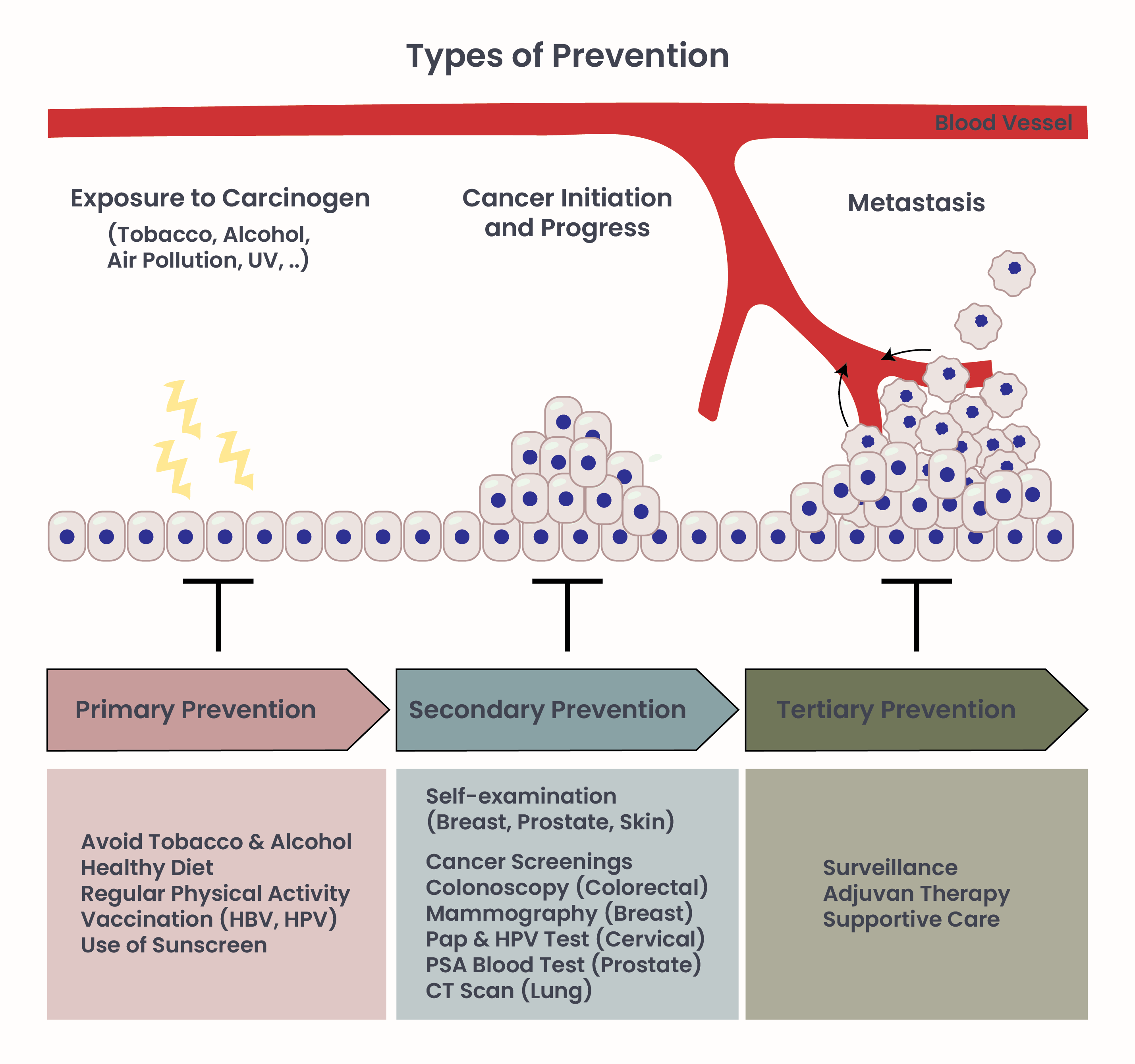 Prevention – Within Oncology